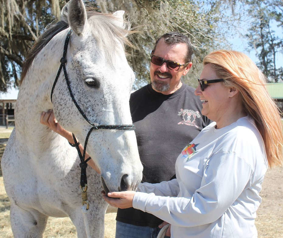 Successes - Horse Protection Association of Florida