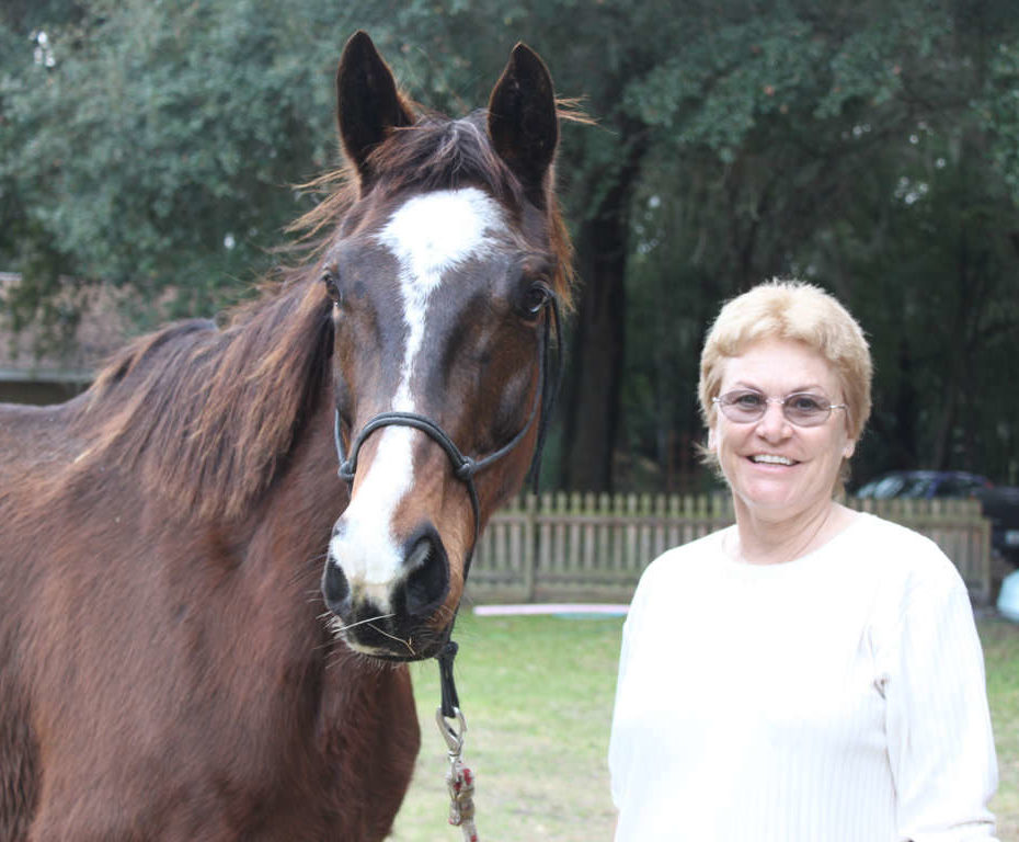 Successes - Horse Protection Association of Florida
