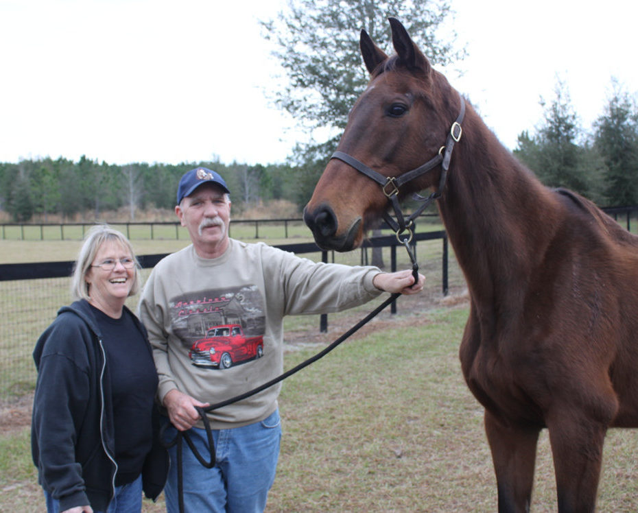 Successes - Horse Protection Association