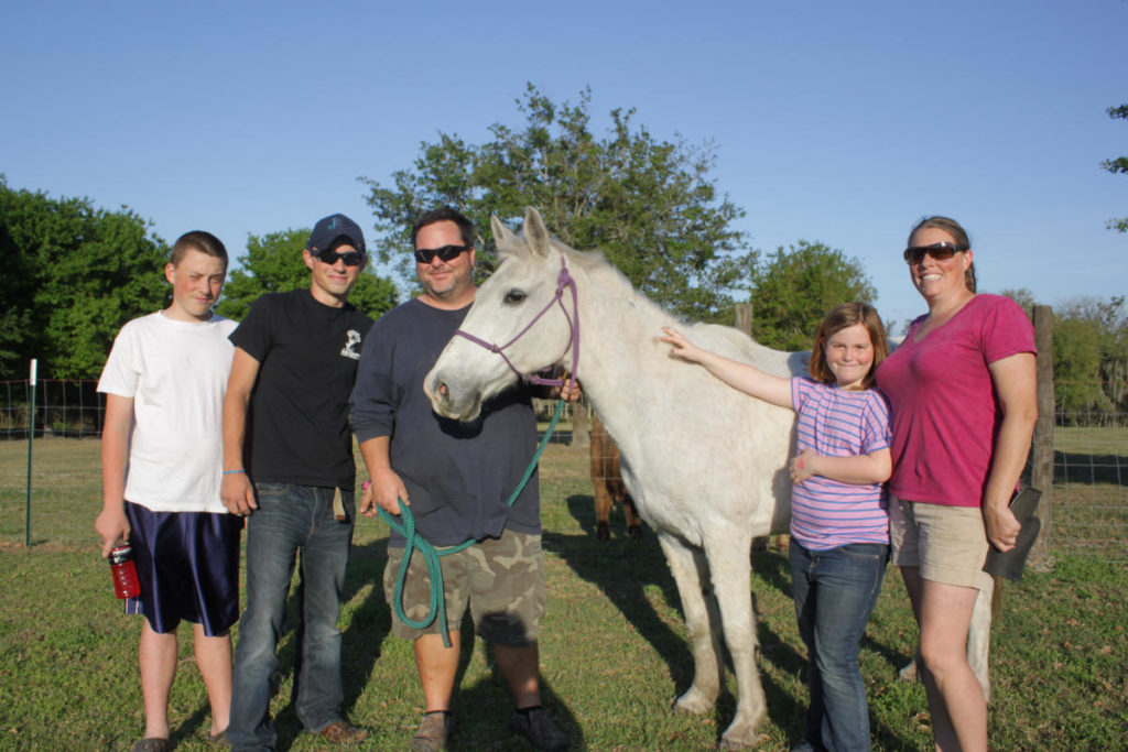 Successes | Horse Protection Association of Florida