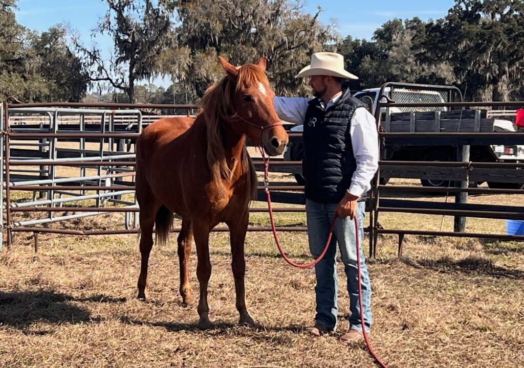 Flower Power | Horse Protection Association of Florida